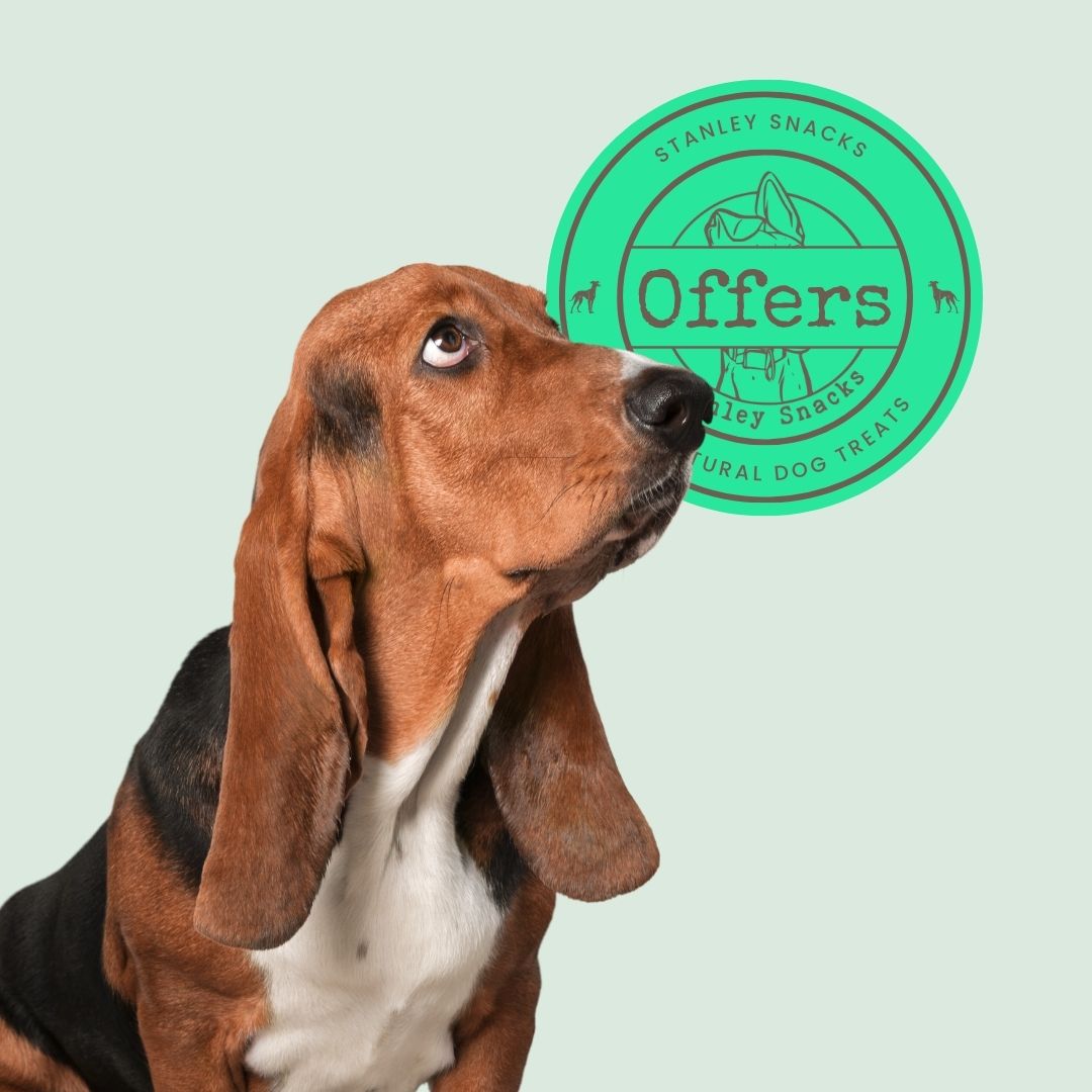 Offers – Stanley Snacks